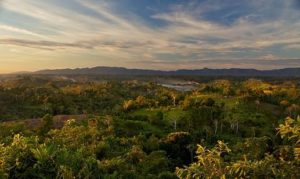 CONTAMANA – Full Day Lima Peru